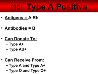 Anatomy Unit 2 Notes: Blood Typing | PPT