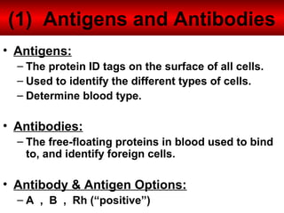 Anatomy Unit 2 Notes: Blood Typing | PPT