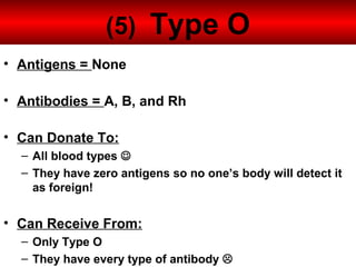 Anatomy Unit 2 Notes: Blood Typing | PPT