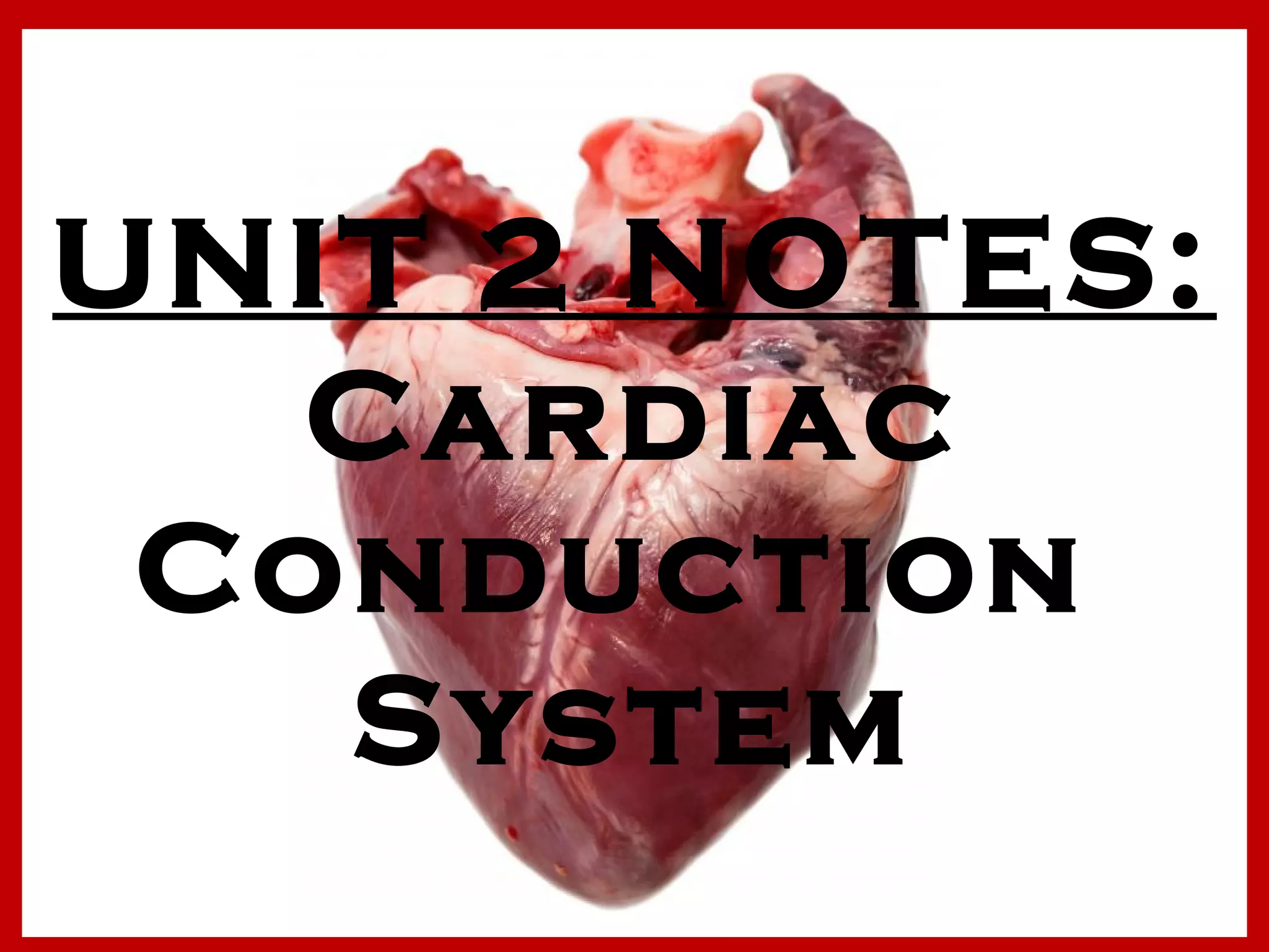Anatomy Unit 2: Cardiac Conduction Notes | PPT