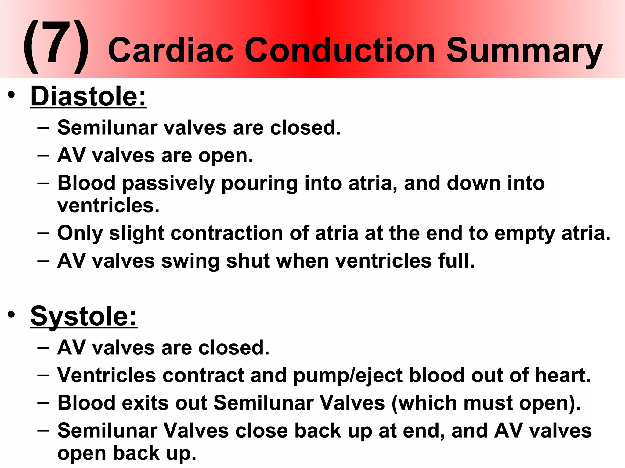 Anatomy Unit 2: Cardiac Conduction Notes | PPT
