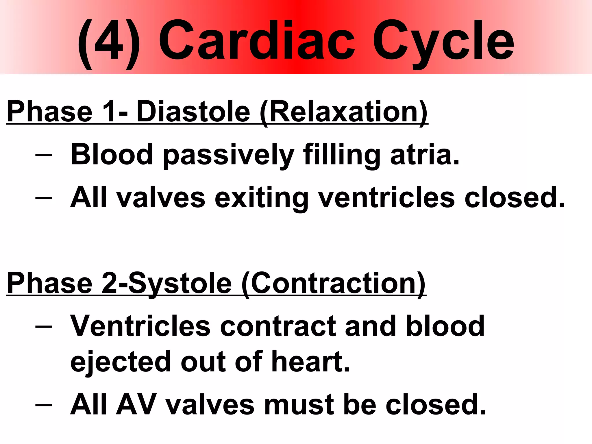Anatomy Unit 2: Cardiac Conduction Notes | PPT