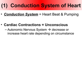 Anatomy Unit 2: Cardiac Conduction Notes | PPT