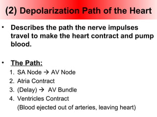 Anatomy Unit 2: Cardiac Conduction Notes | PPT