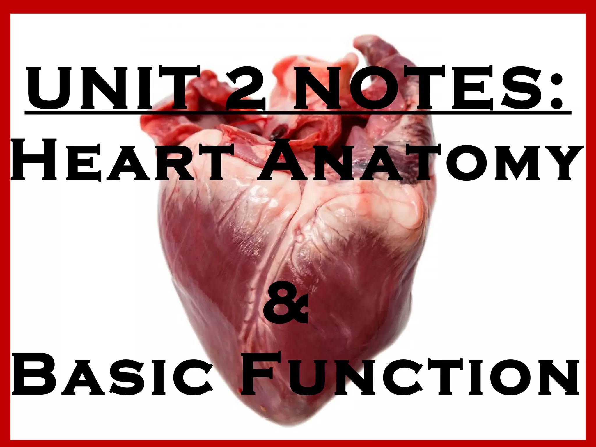 Anatomy Unit 2 Notes: Heart Anatomy & Function | PPT