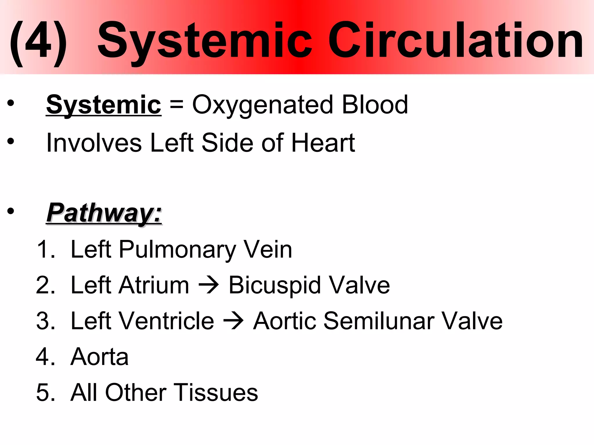 Anatomy Unit 2 Notes: Heart Anatomy & Function | PPT