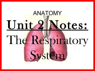 Anatomy Unit 2 Notes: The Respiratory System | PPT