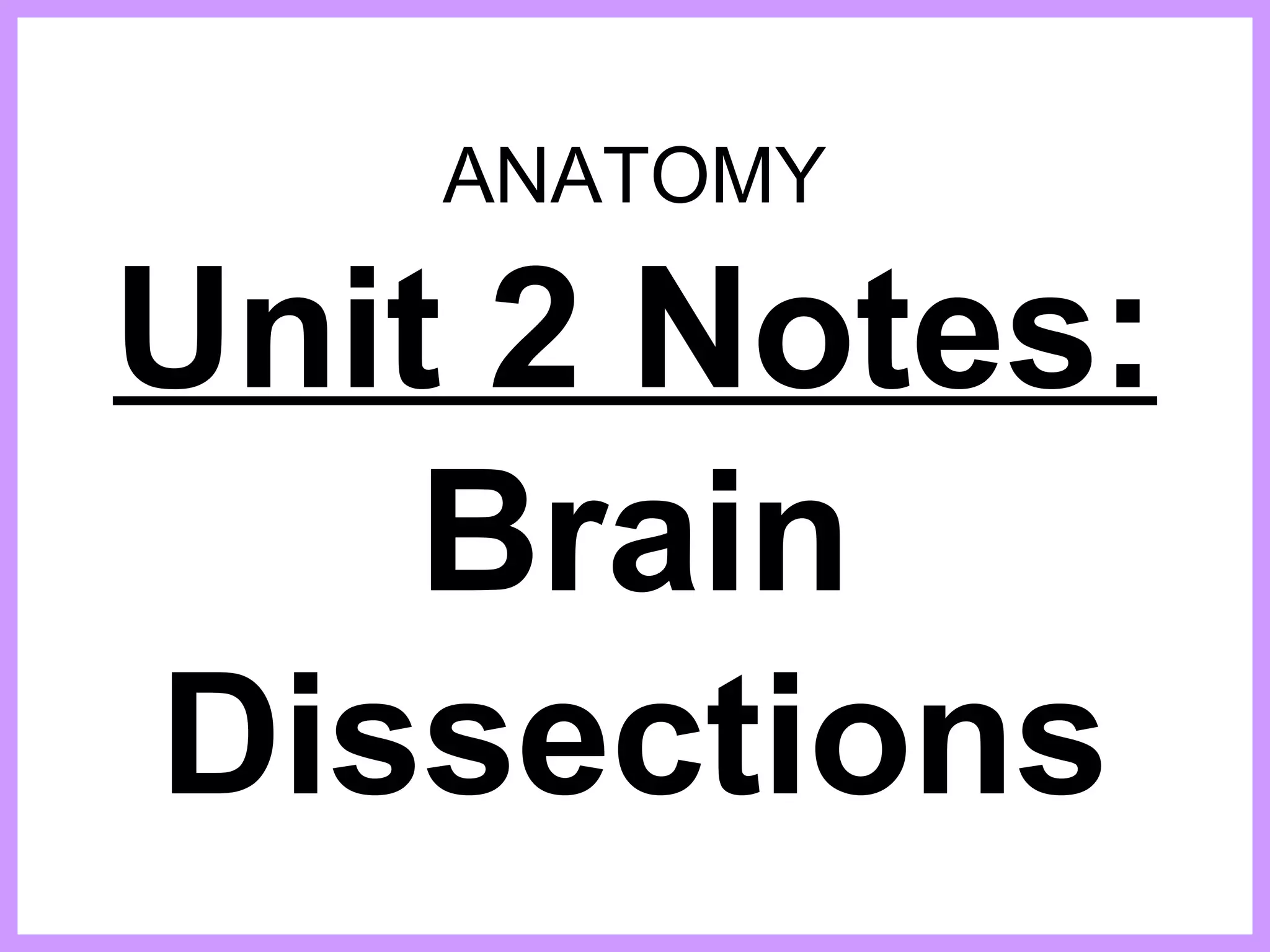 Anatomy unit 2 nervous system brain dissection notes | PPT