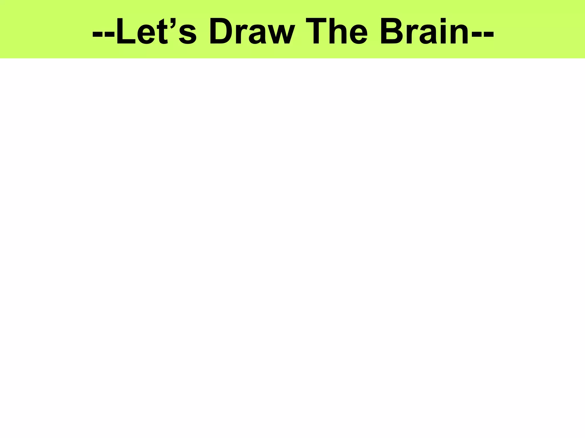 Anatomy unit 2 nervous system brain dissection notes | PPT