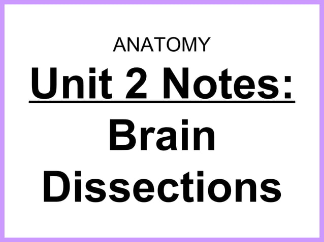 Anatomy unit 2 nervous system brain dissection notes | PPT