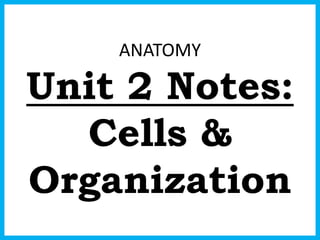 Anatomy: Unit 2 Nervous System--Cells and Organization | PPT