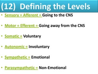 Anatomy: Unit 2 Nervous System--Cells and Organization | PPT