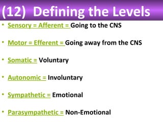 Anatomy unit 2 nervous system cells and organization notes | PPT ...
