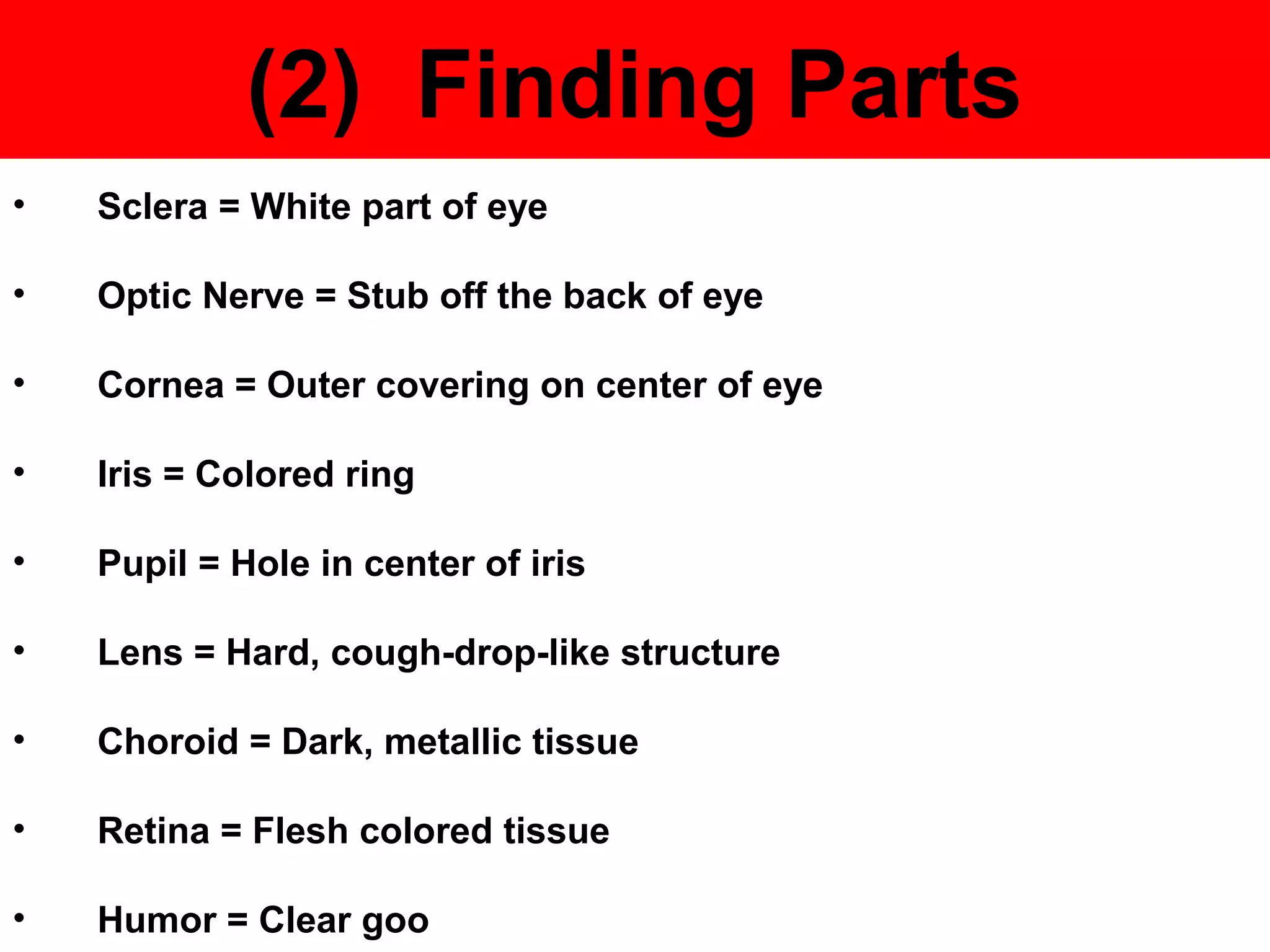 Anatomy unit 2 nervous system eyeball dissection notes | PPT