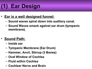 Anatomy unit 2 nervous system hearing notes | PPT