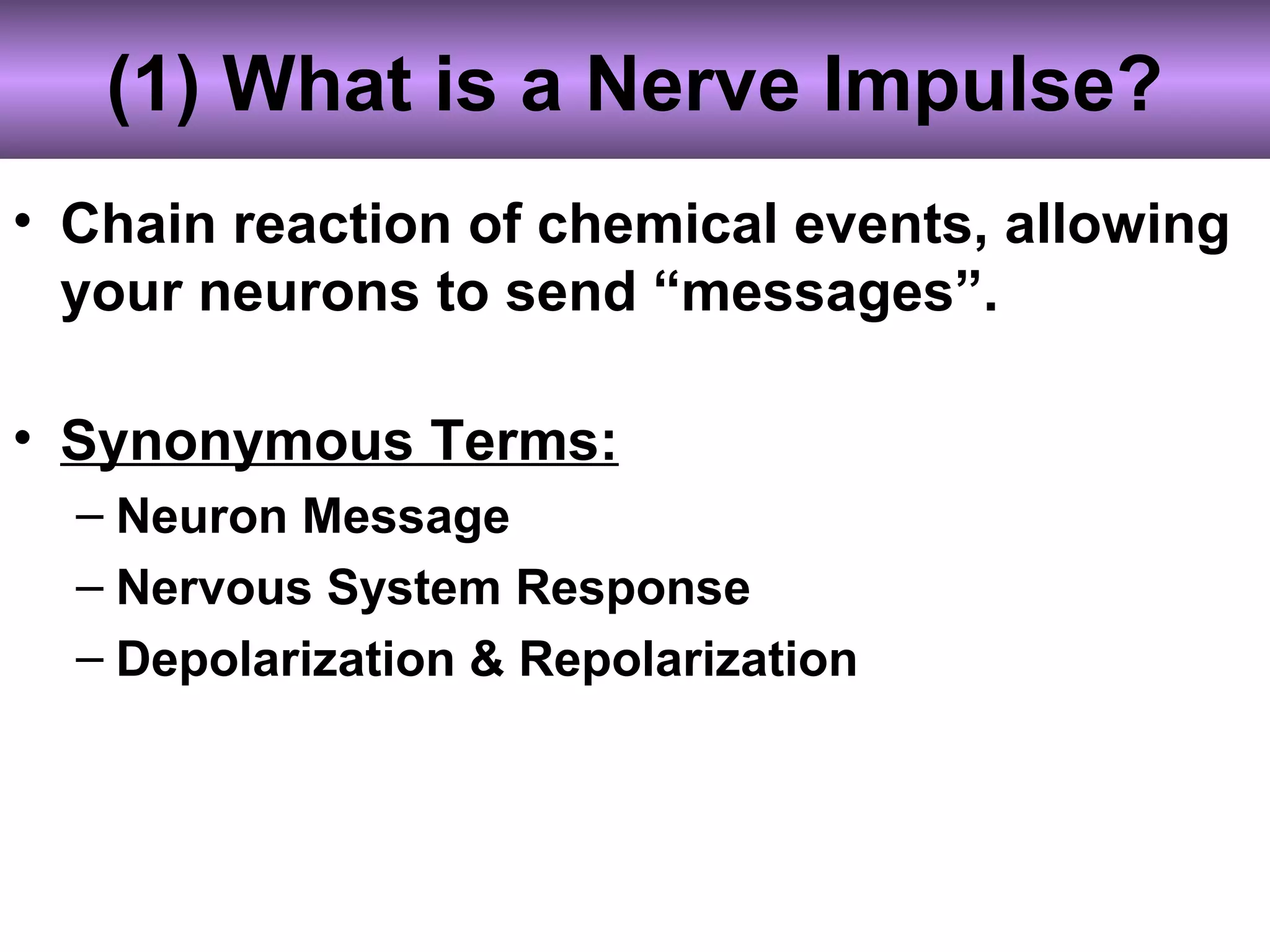 Anatomy unit 2 nervous system nerve impulse notes | PPT