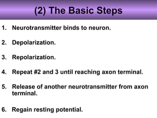 Anatomy unit 2 nervous system nerve impulse notes | PPT
