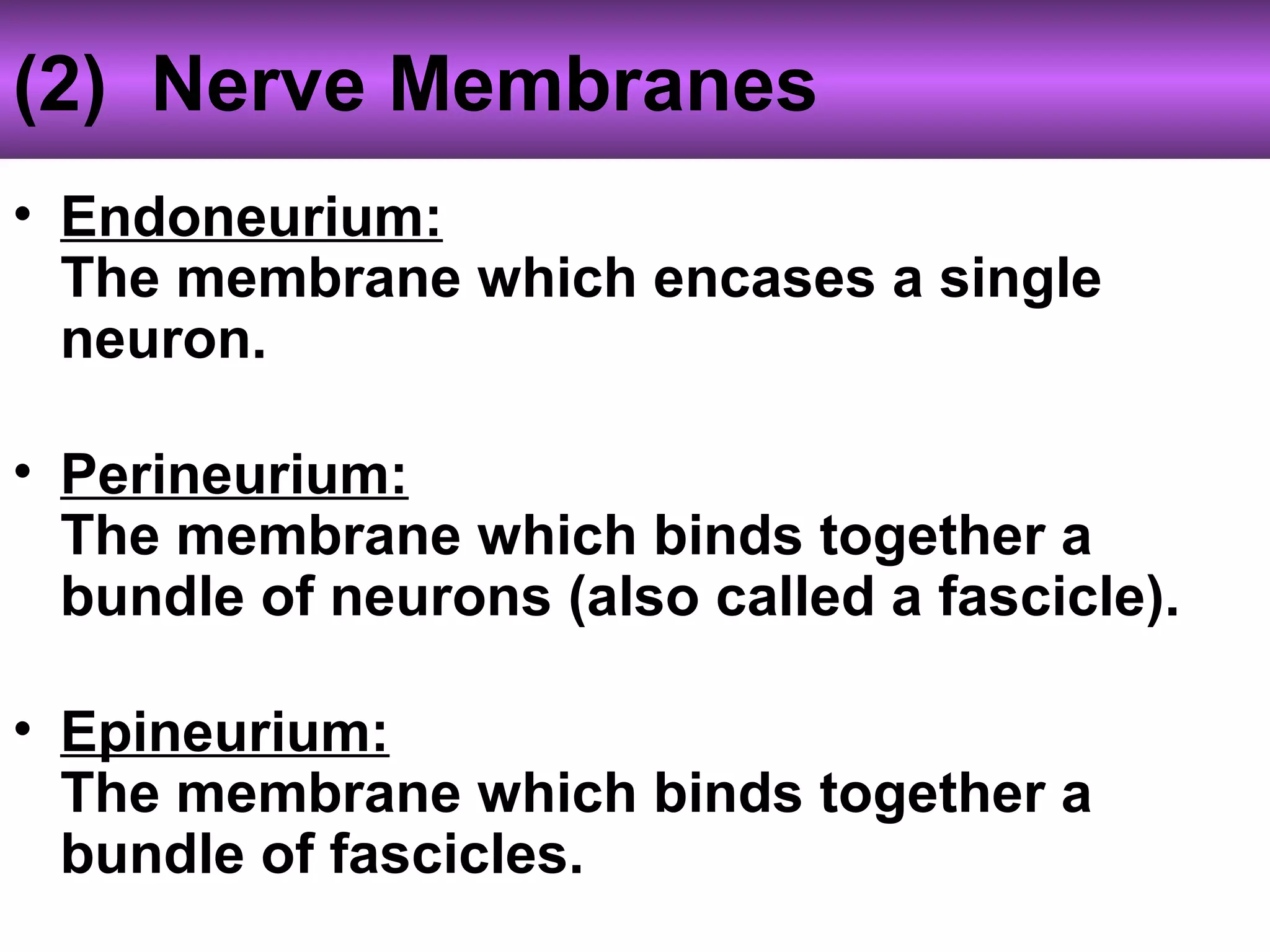 Anatomy unit 2 nervous system nerve structure and reflex notes | PPT