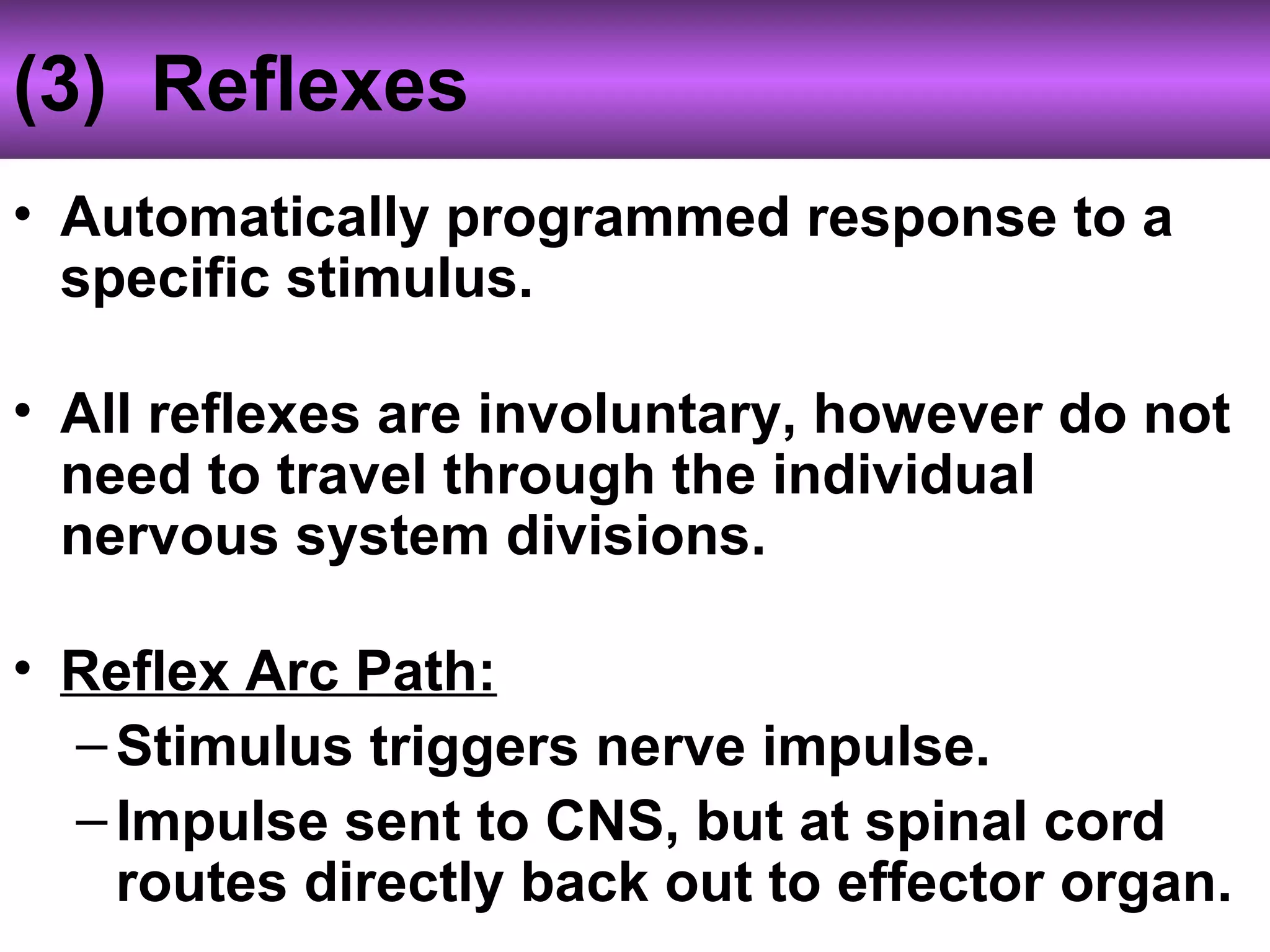 Anatomy unit 2 nervous system nerve structure and reflex notes | PPT