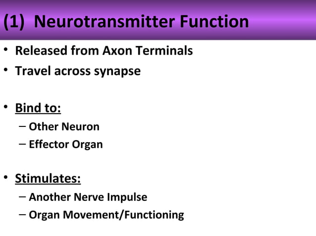 Anatomy unit 2 nervous system neurotransmitter notes | PPT