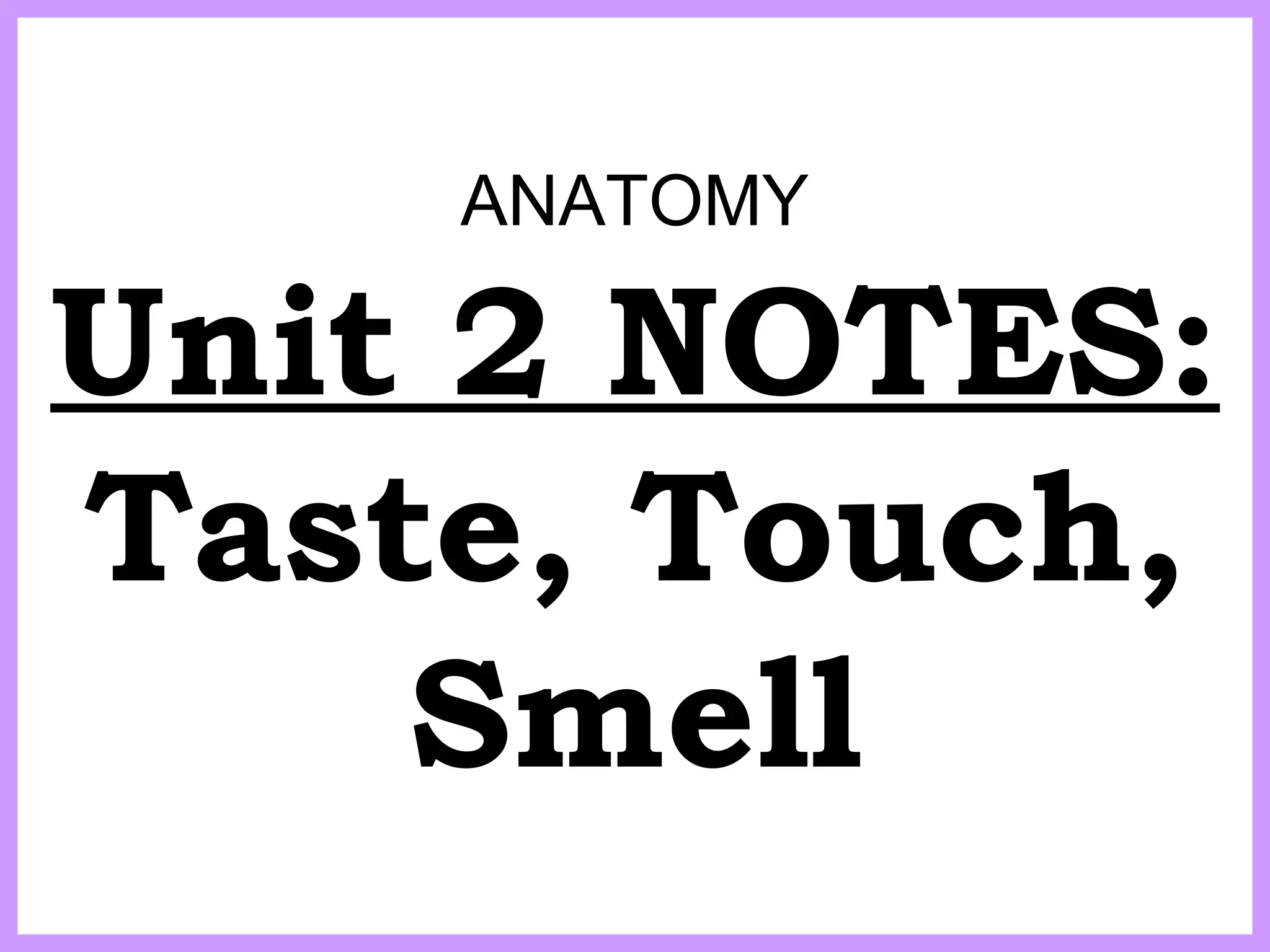 Anatomy unit 2 nervous system taste touch smell notes | PPT