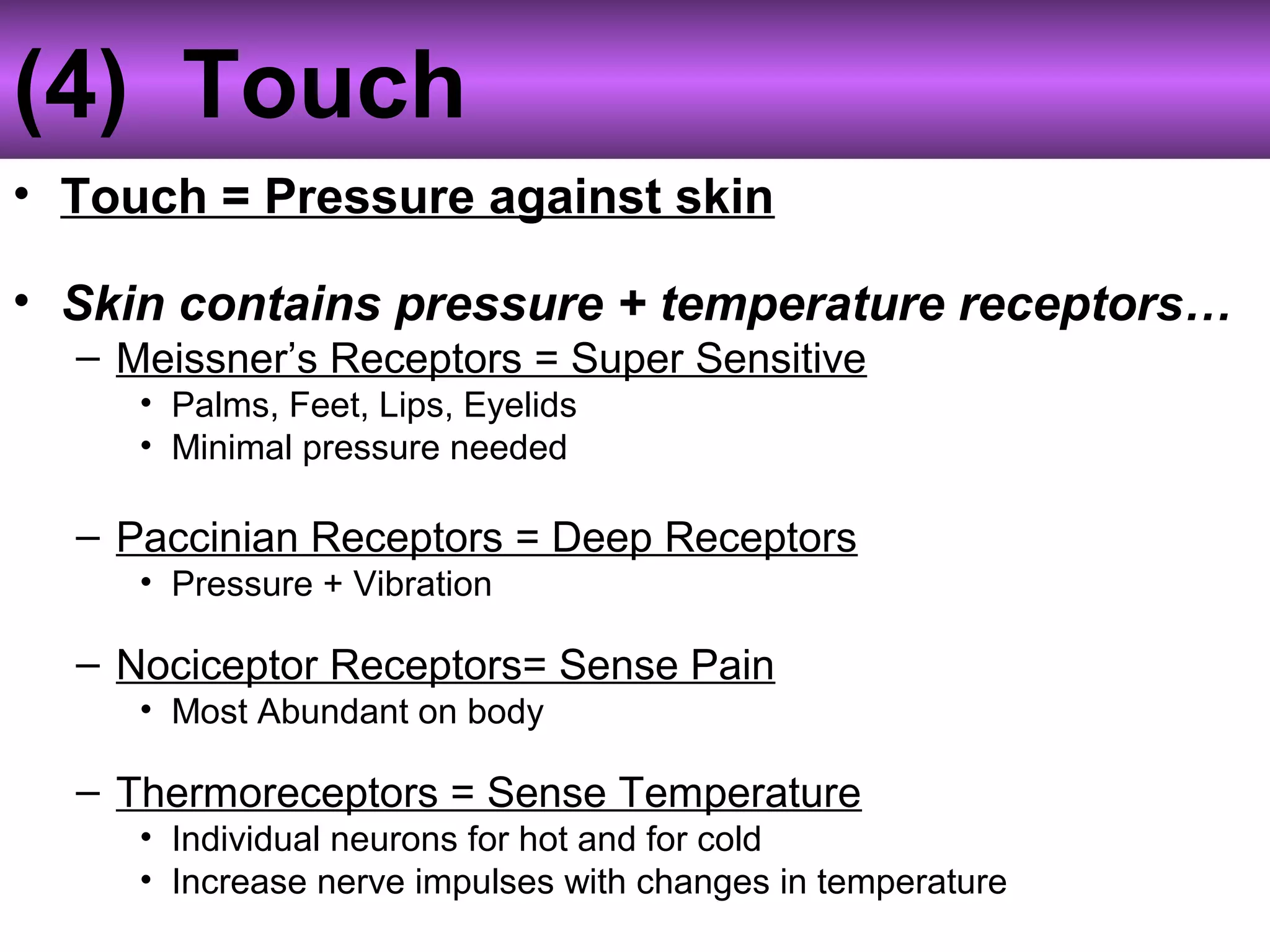 Anatomy unit 2 nervous system taste touch smell notes | PPT