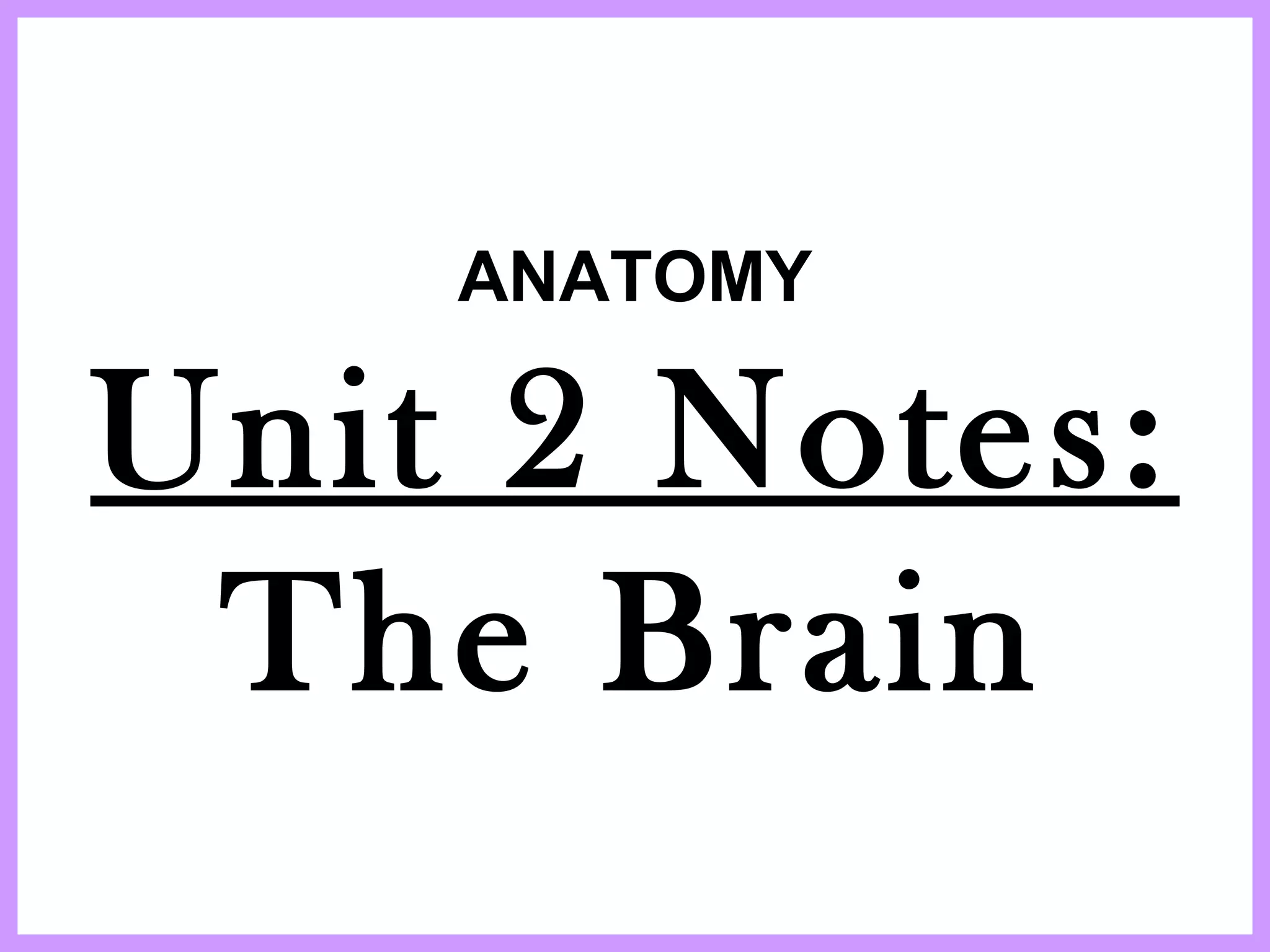 Anatomy unit 2 nervous system the brain notes | PPT