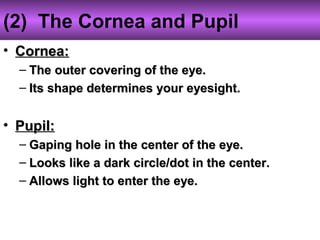 Anatomy unit 2 nervous system vision notes | PPT