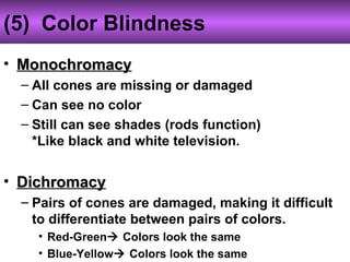 Anatomy unit 2 nervous system vision notes | PPT