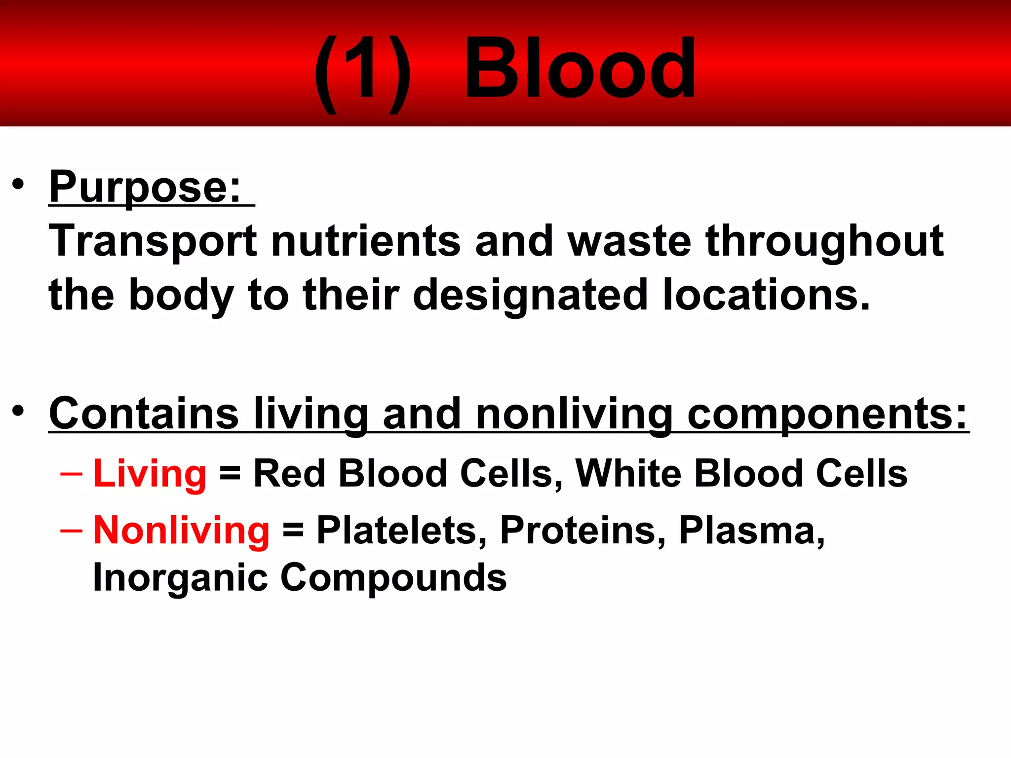 Anatomy unit 3 cardio and respiratory system blood composition notes | PPT