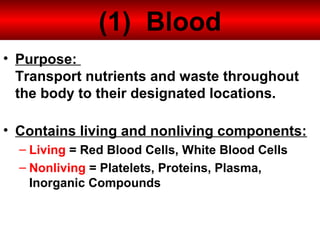 Anatomy unit 3 cardio and respiratory system blood composition notes | PPT