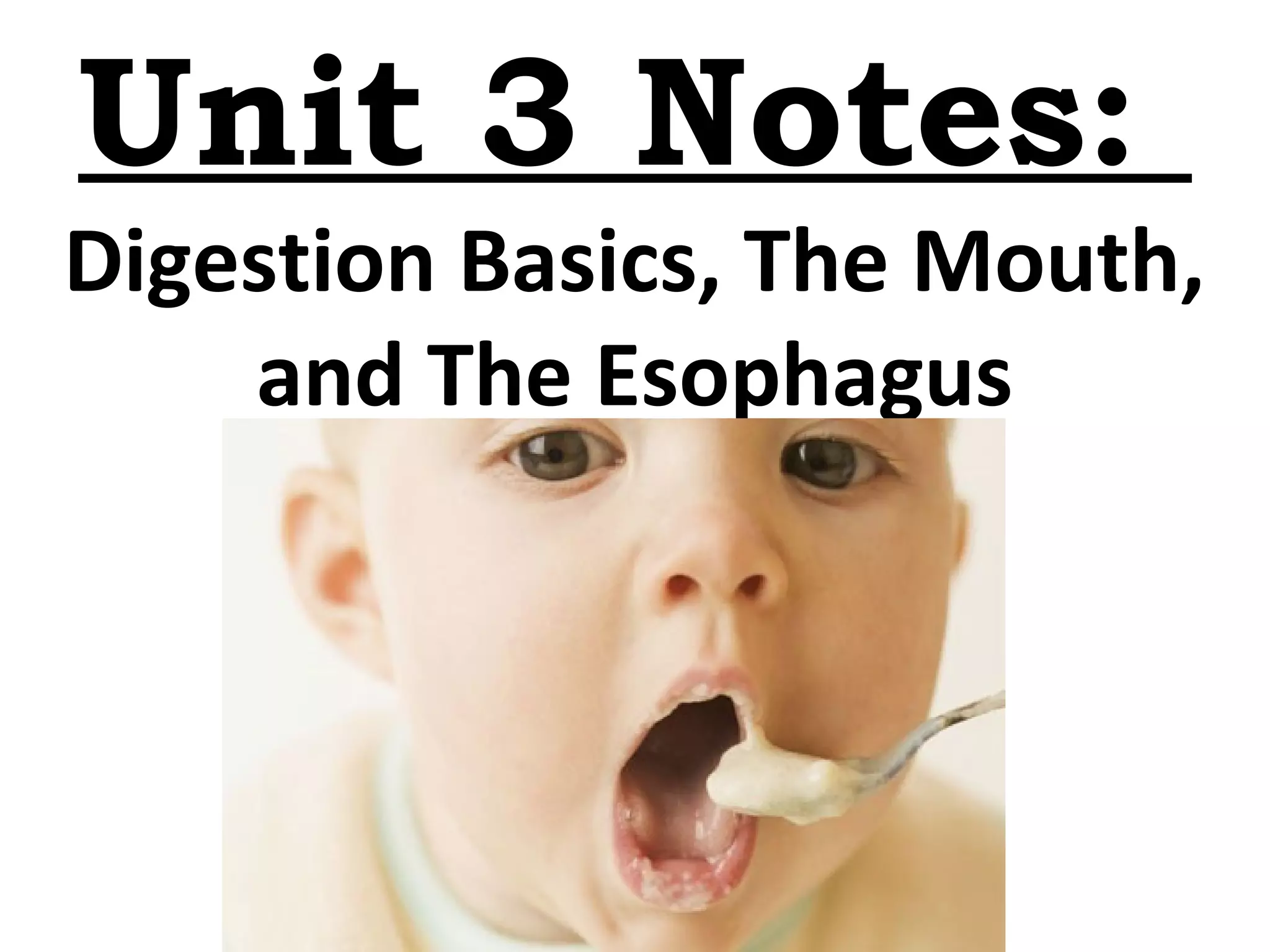 Anatomy Unit 3 Notes: Digestion Basics, The Mouth and The Esophagus ...