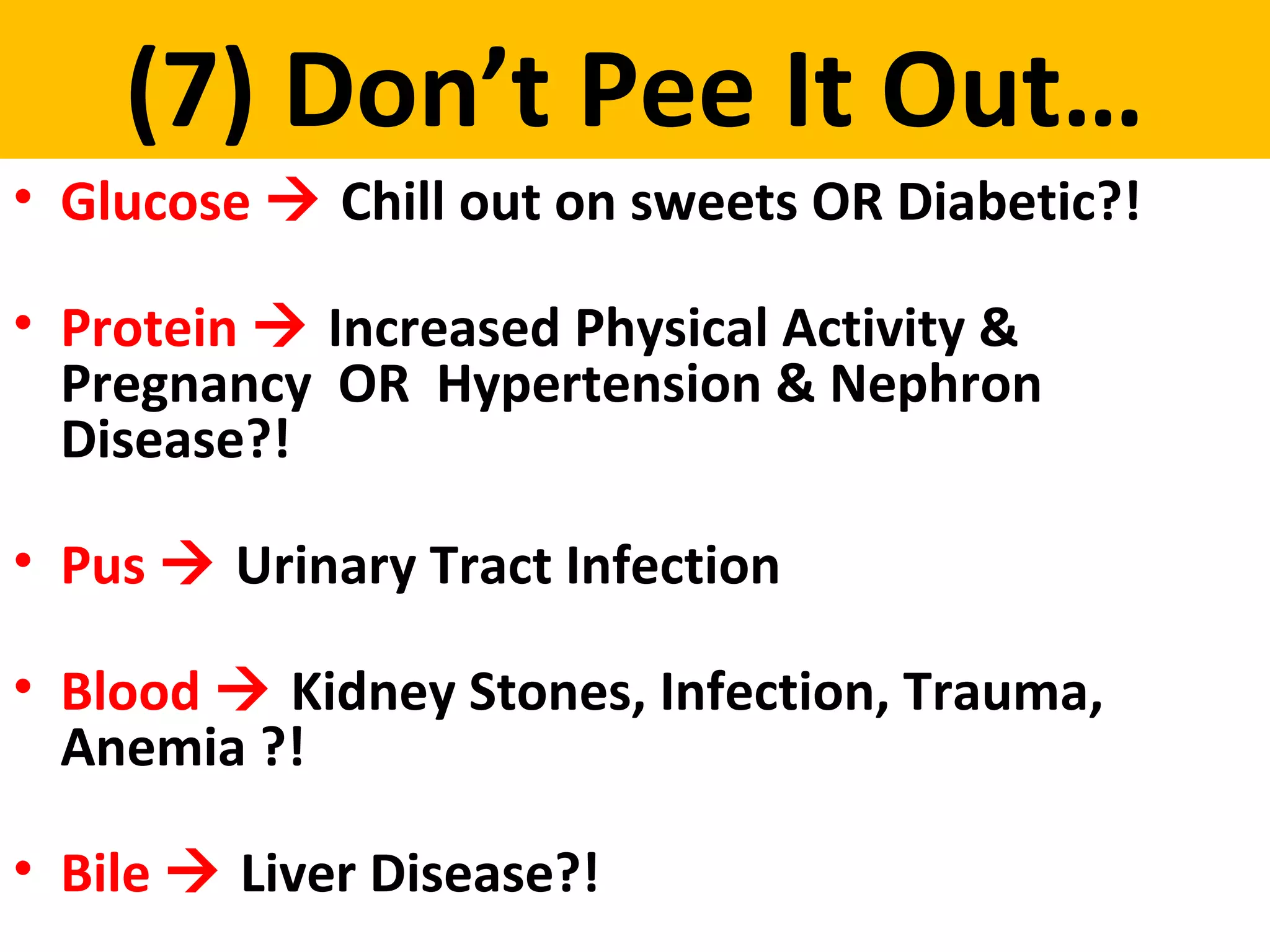 Anatomy Unit 3 Notes: The Excretory System | PPT