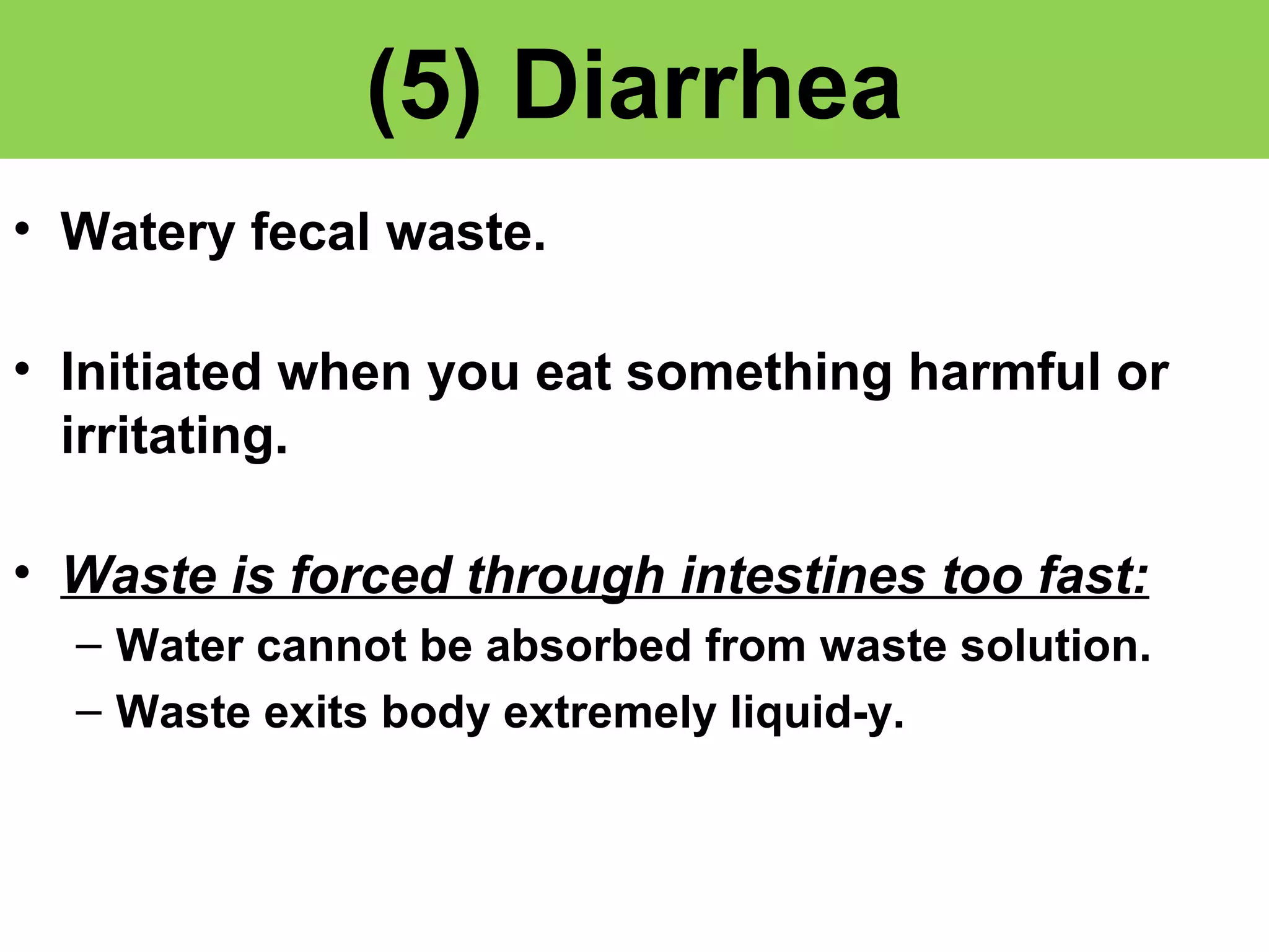 Anatomy Unit 3 Notes: The Large Intestine & Digestive Disorders | PPT