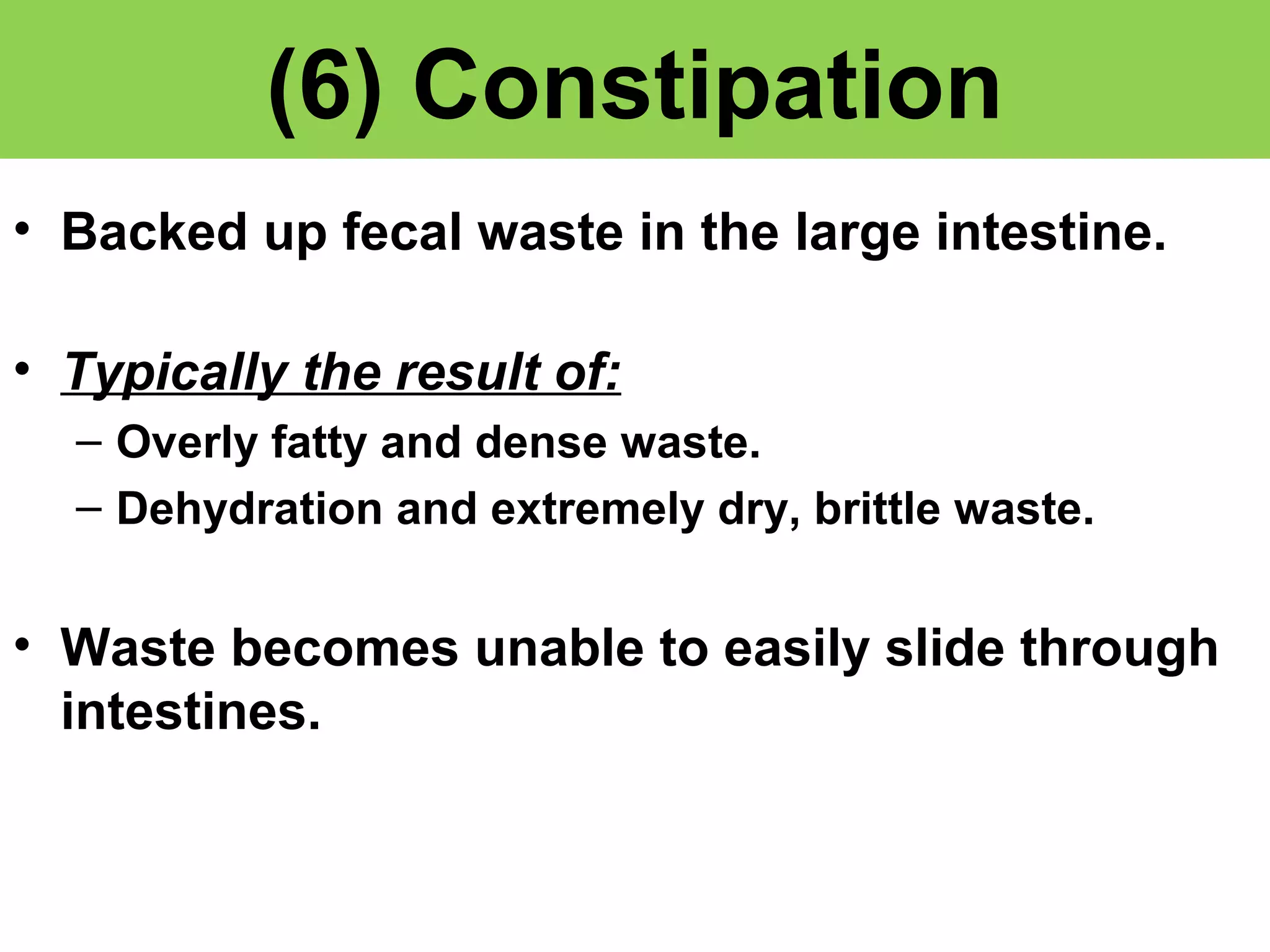 Anatomy Unit 3 Notes: The Large Intestine & Digestive Disorders | PPT