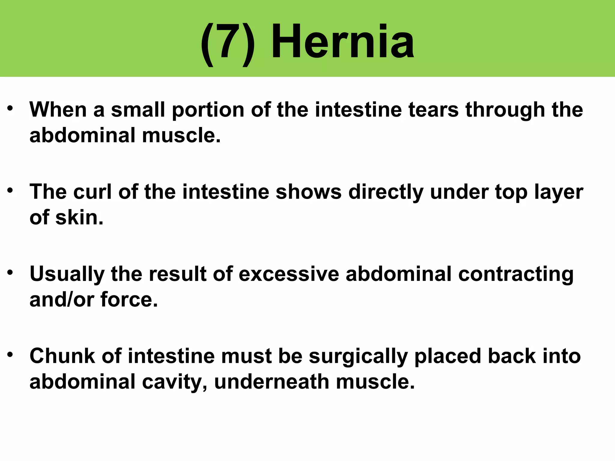 Anatomy Unit 3 Notes: The Large Intestine & Digestive Disorders | PPT
