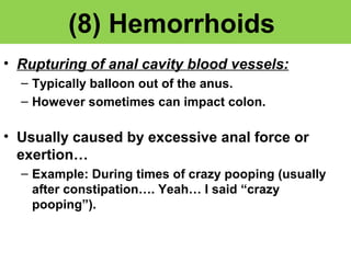 Anatomy Unit 3 Notes: The Large Intestine & Digestive Disorders | PPT