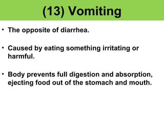 Anatomy Unit 3 Notes: The Large Intestine & Digestive Disorders | PPT