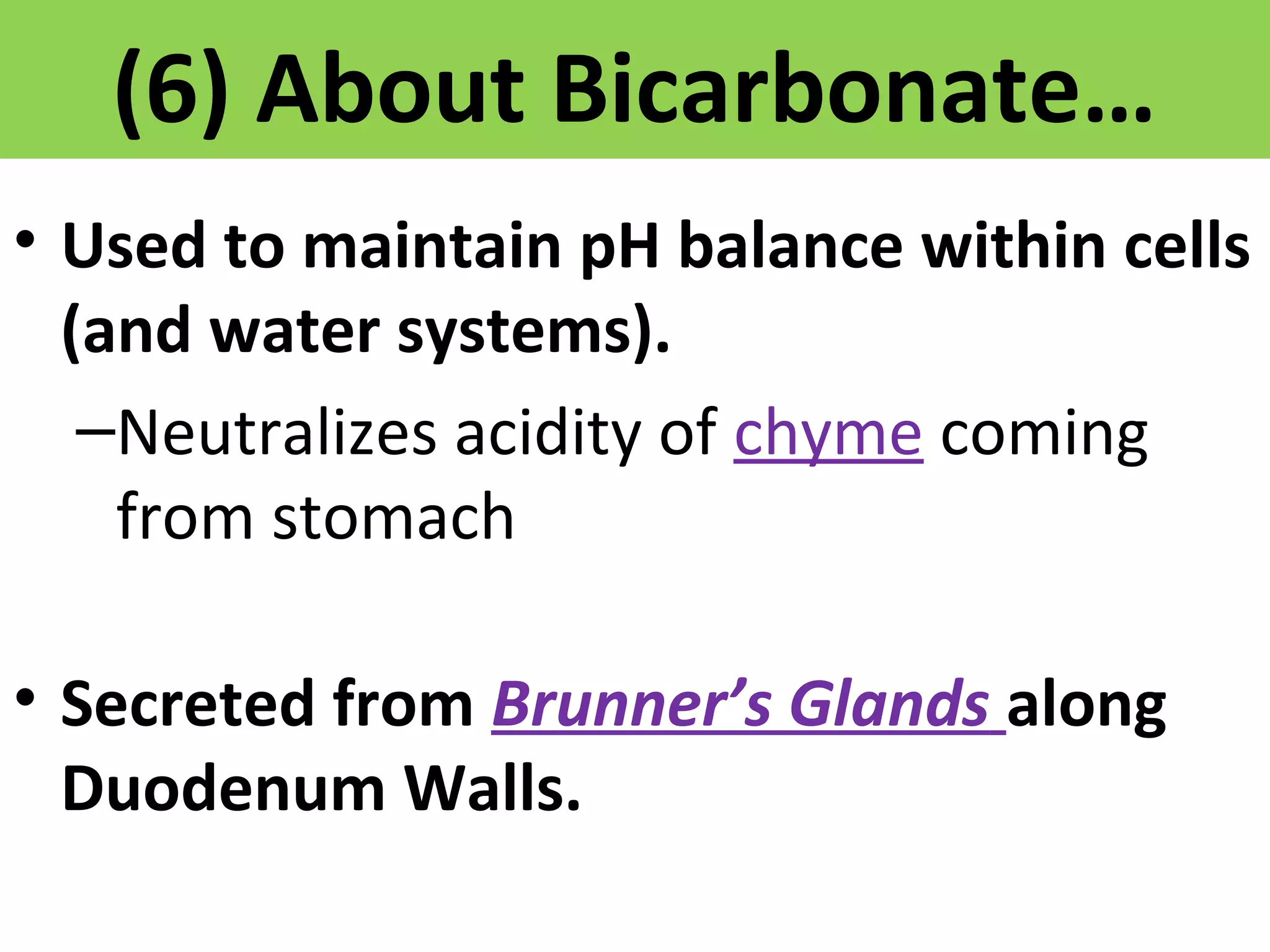 Anatomy Unit 3 Notes: The Small Intestine | PPT