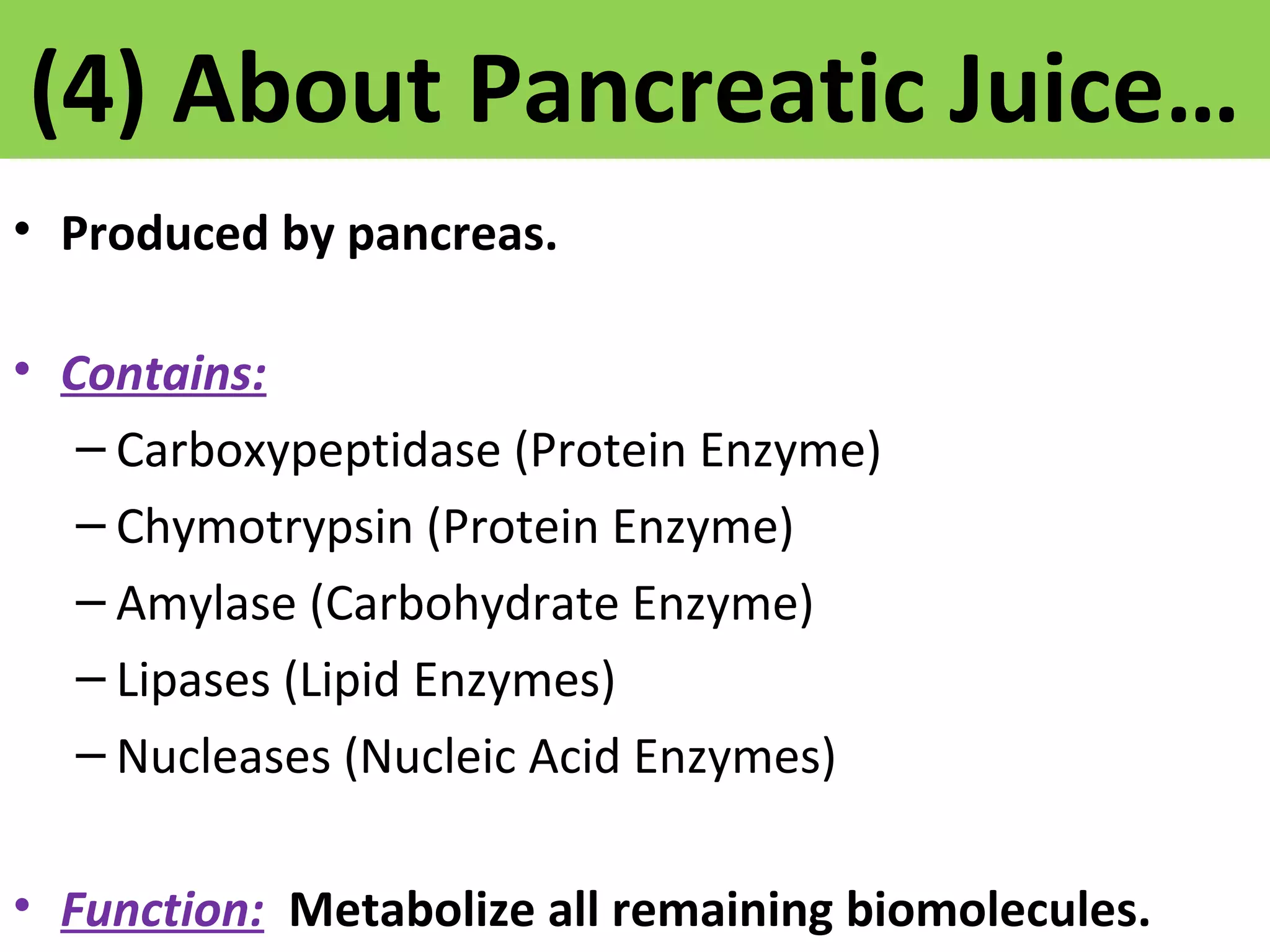 Anatomy Unit 3 Notes: The Small Intestine | PPT