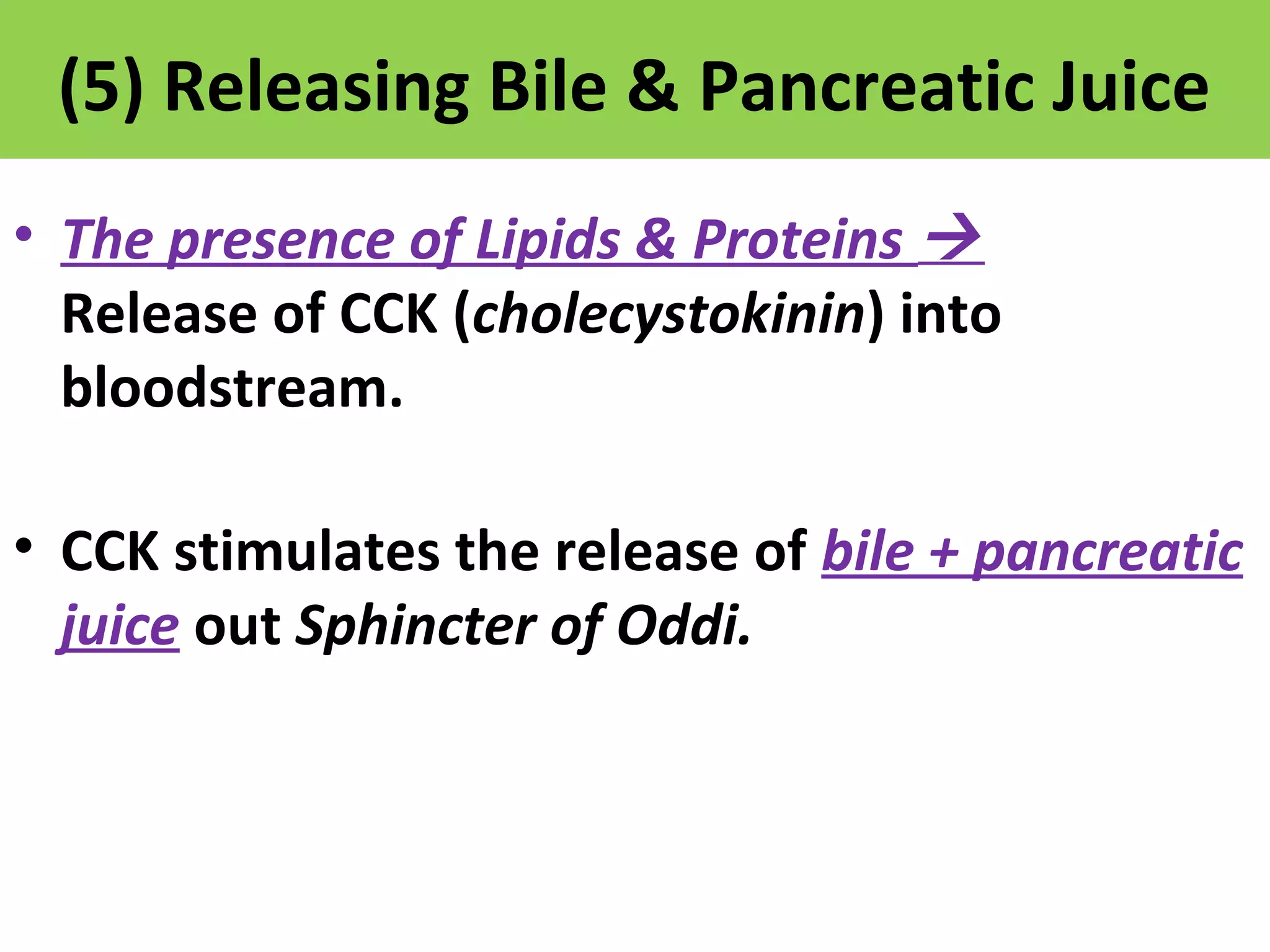 Anatomy Unit 3 Notes: The Small Intestine | PPT