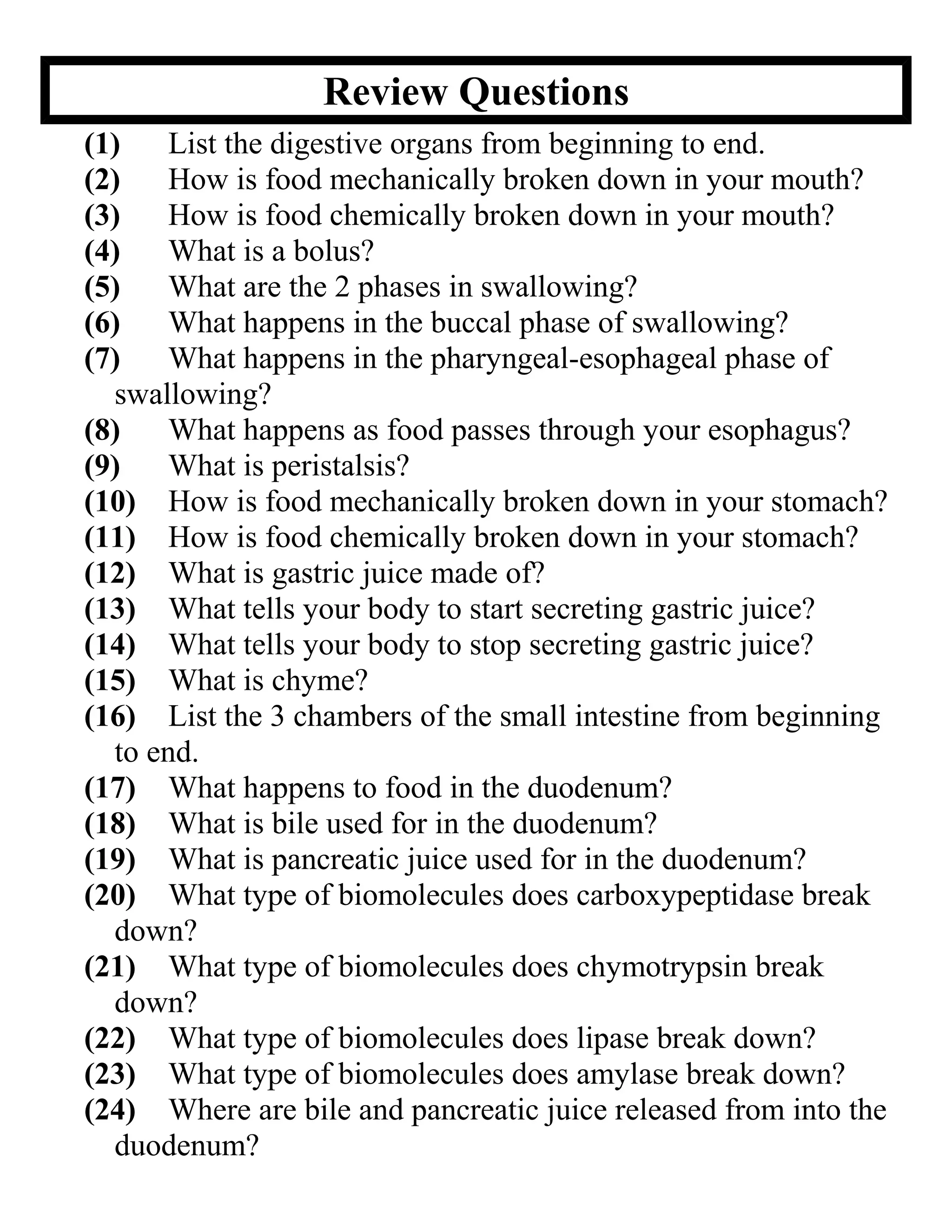 Anatomy unit 4 digestive and excretory systems big quiz review ...