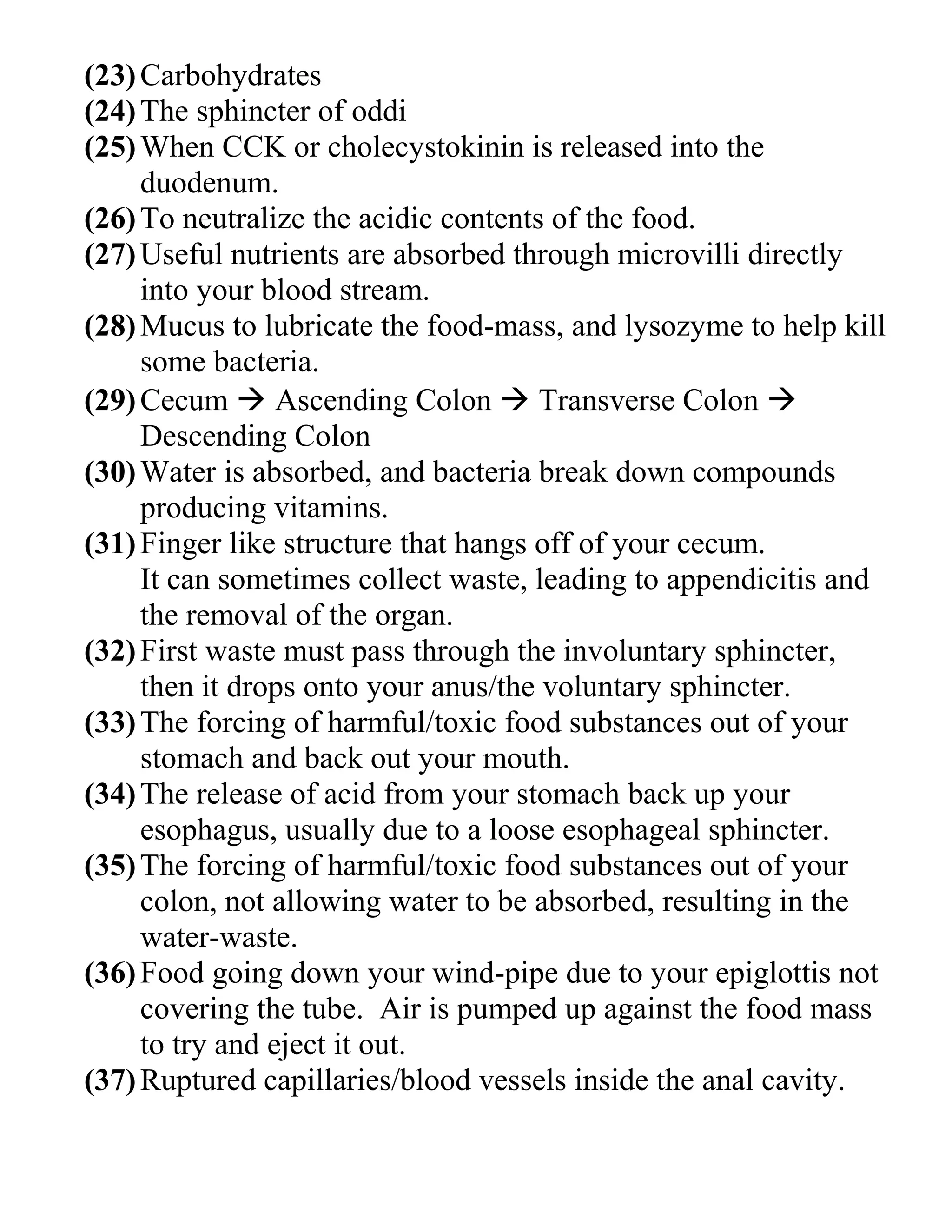 Anatomy unit 4 digestive and excretory systems big quiz review ...