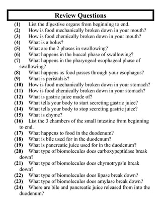 Anatomy unit 4 digestive and excretory systems big quiz review ...