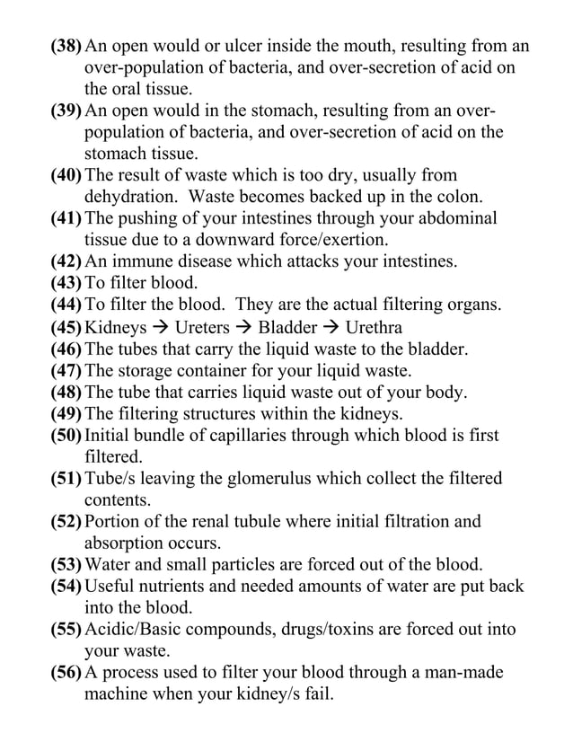 Anatomy unit 4 digestive and excretory systems big quiz review ...