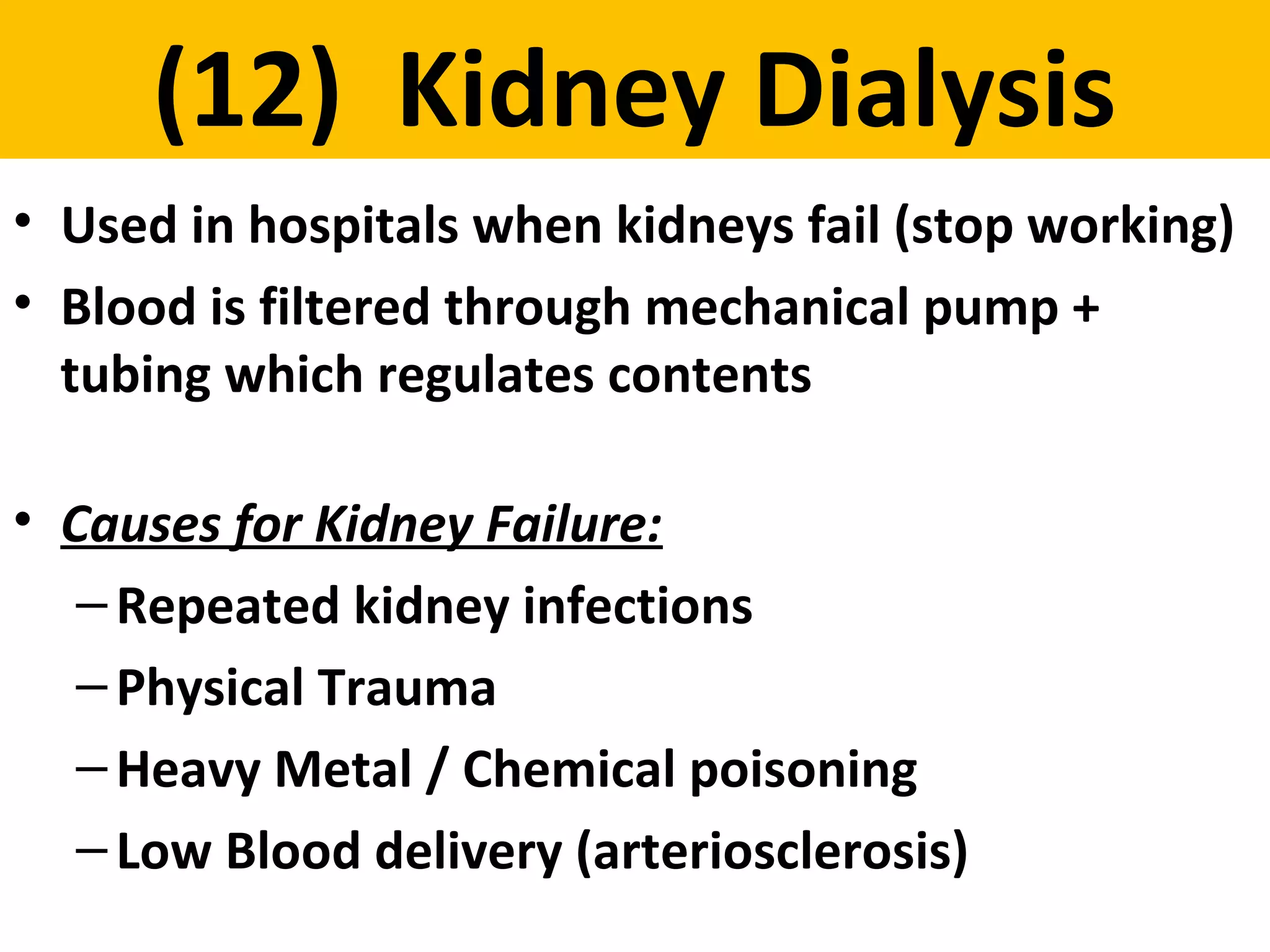 Anatomy unit 4 digestive and excretory systems excretory notes | PPT
