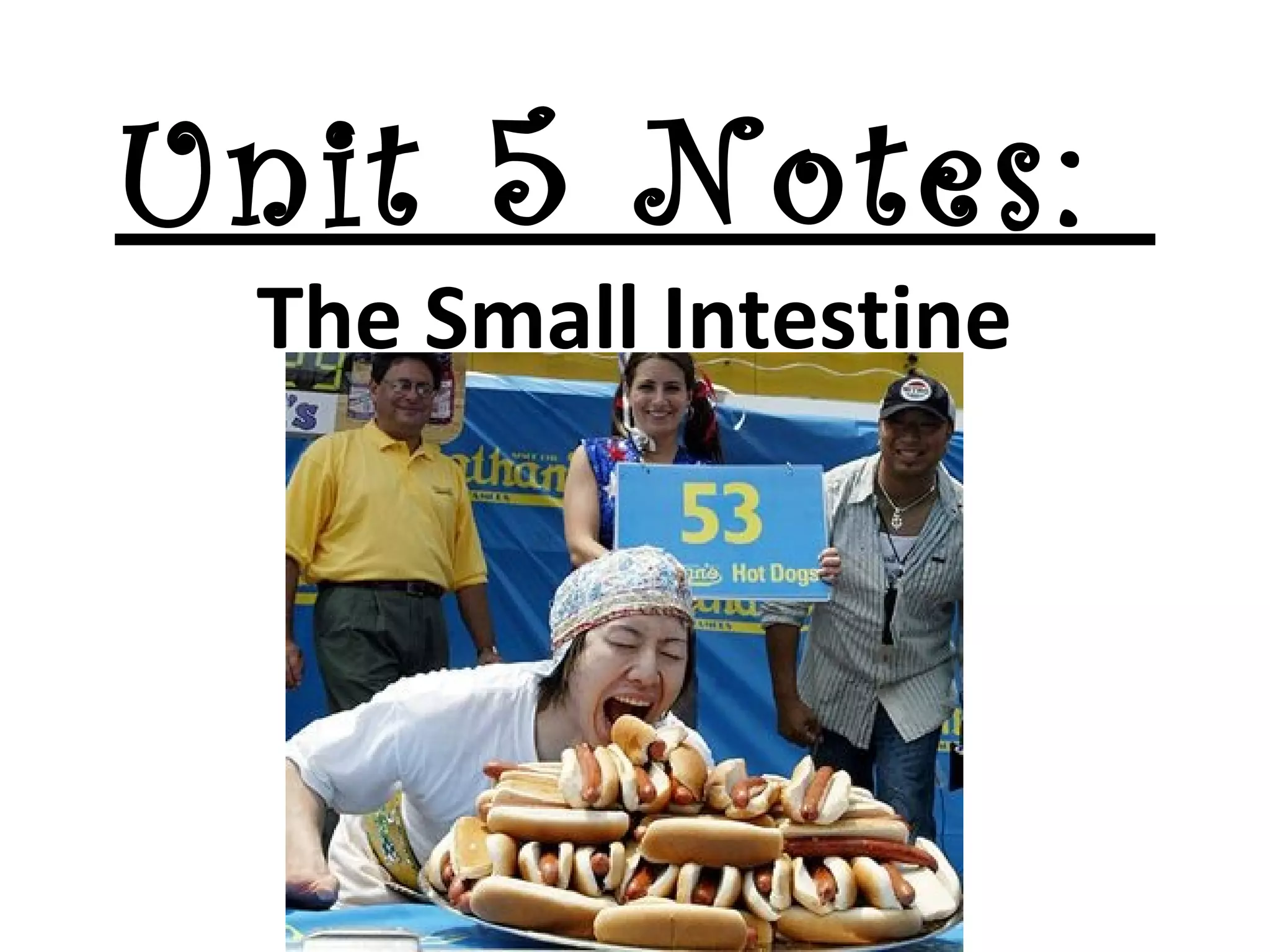 Anatomy unit 4 digestive and excretory systems small intestine notes | PPT