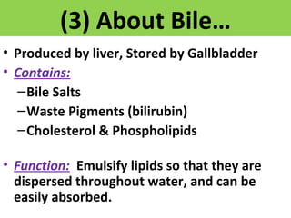 Anatomy unit 4 digestive and excretory systems small intestine notes | PPT