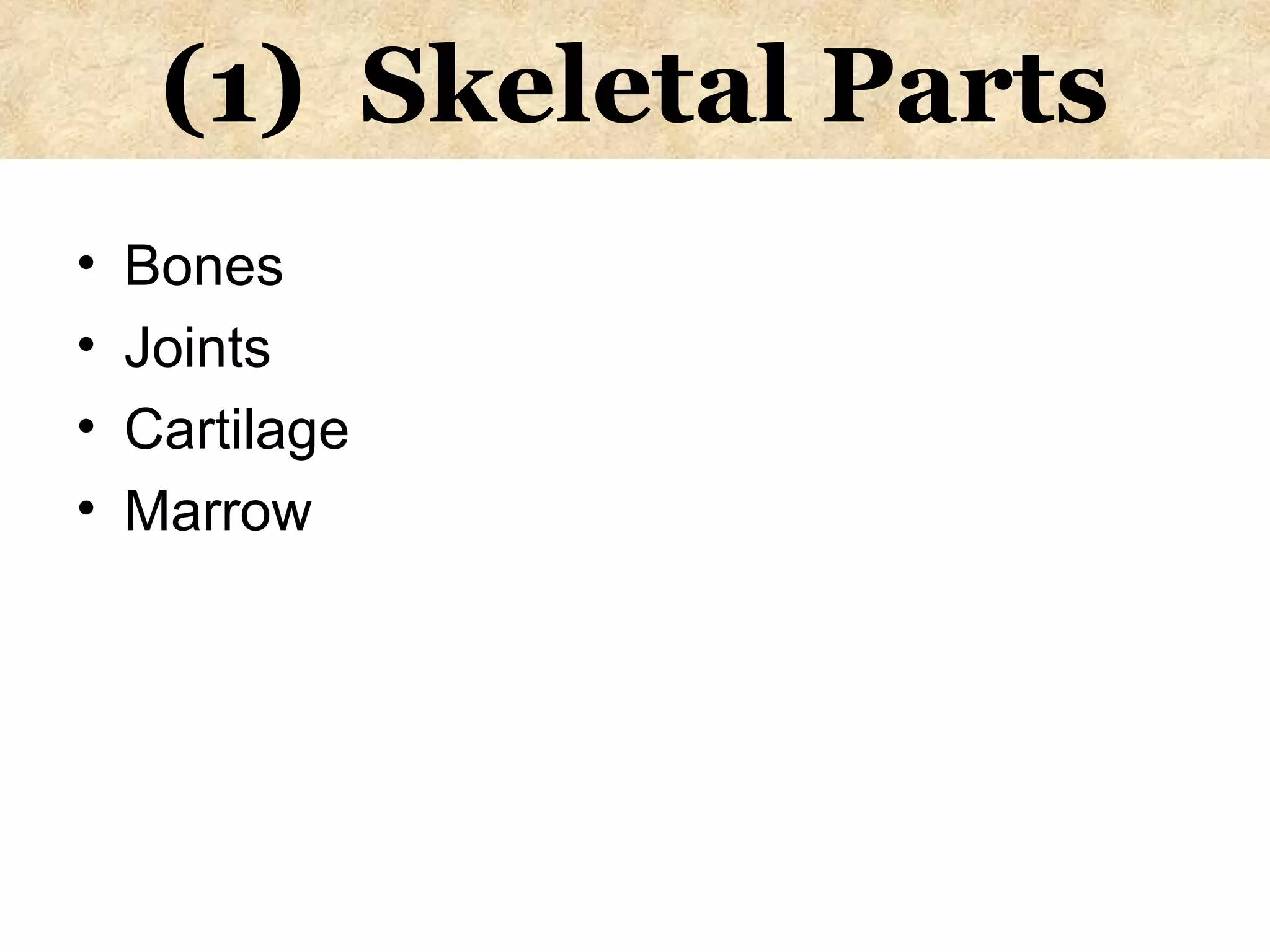 Anatomy Unit 4 Notes: Bone Types, Function, The Skeleton | PPT