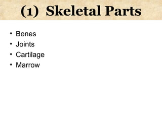 Anatomy Unit 4 Notes: Bone Types, Function, The Skeleton | PPT